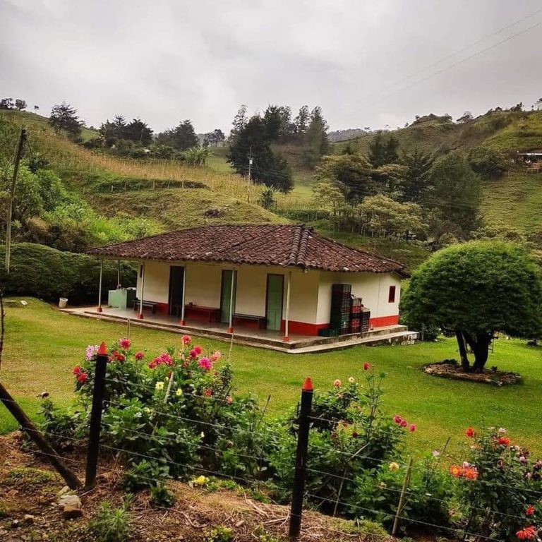  15 Ideas De Casas De Campo Con Plano Incluido GEOCAX